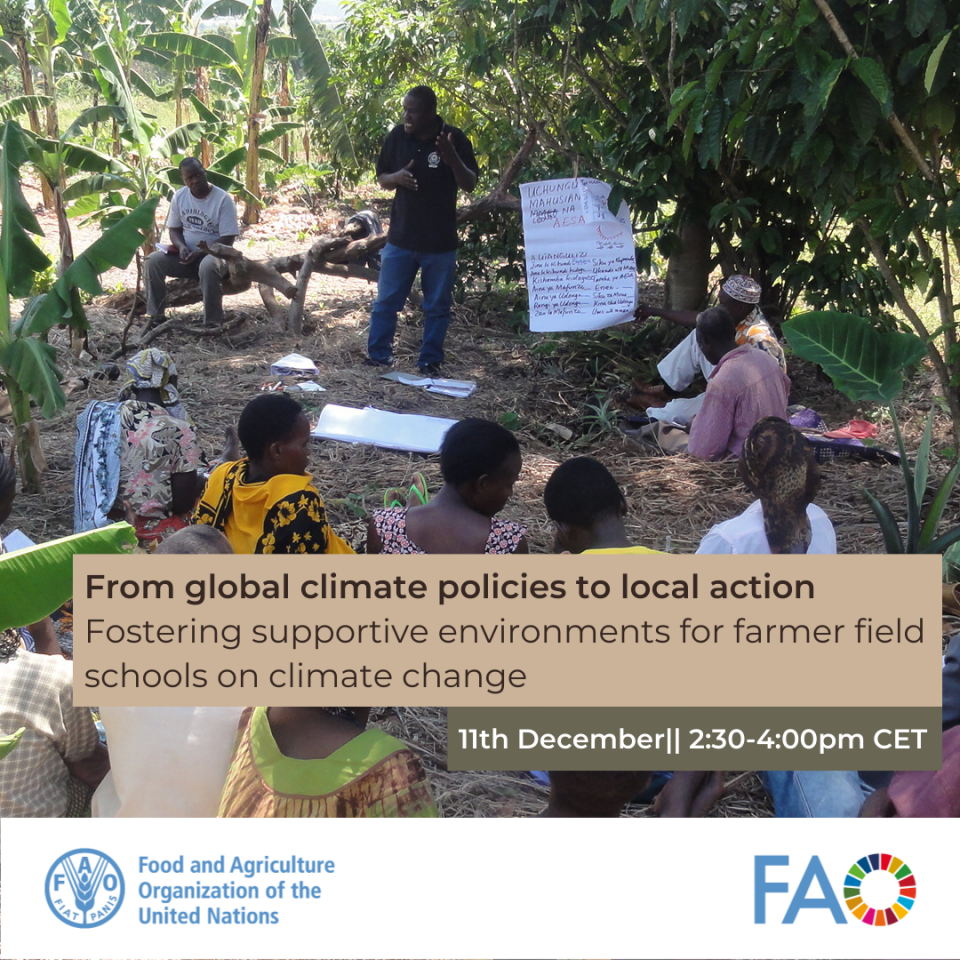 Home | Global Farmer Field School Platform | Food and Agriculture ...