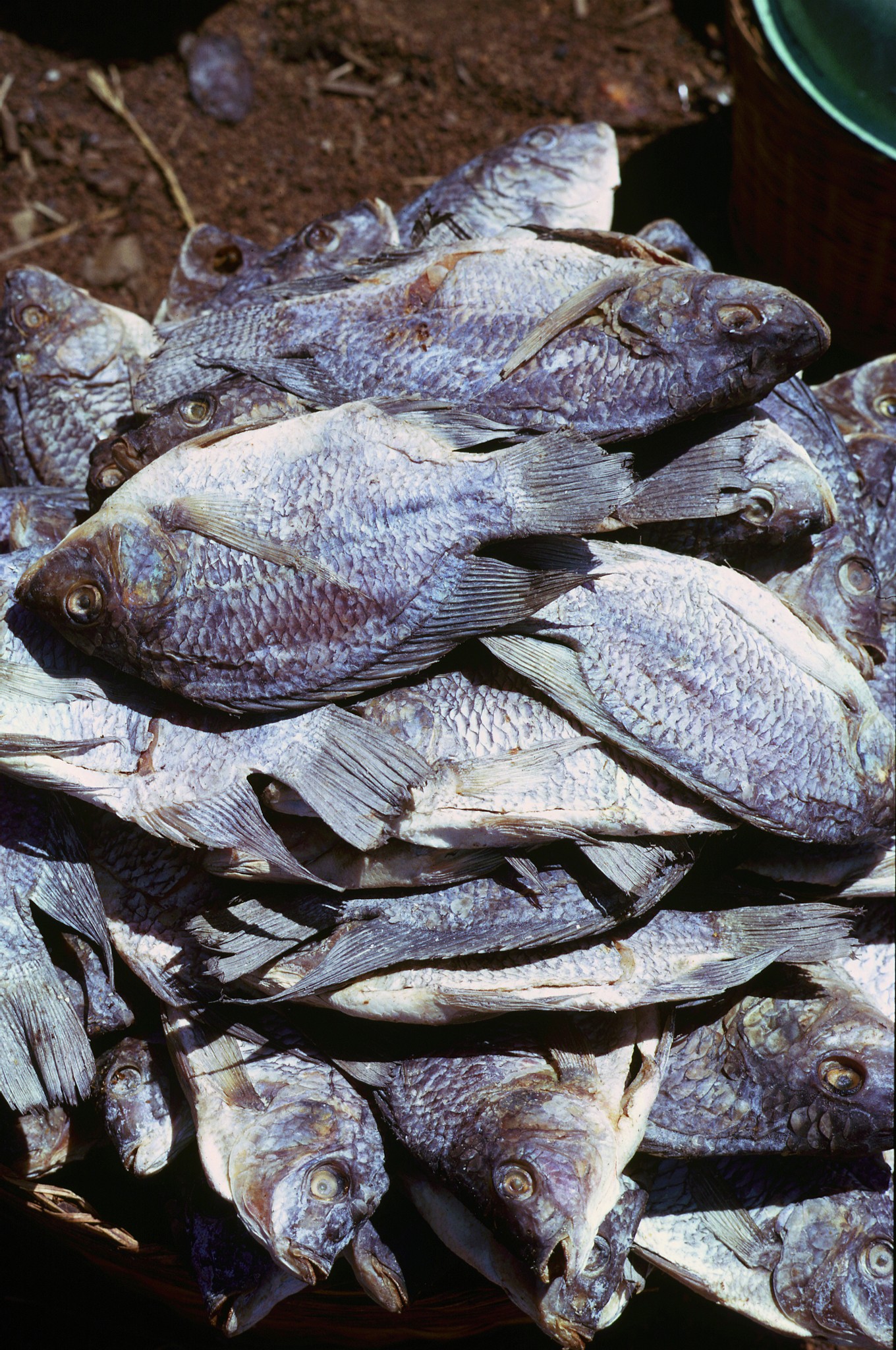 PHOTO LIBRARY: detail