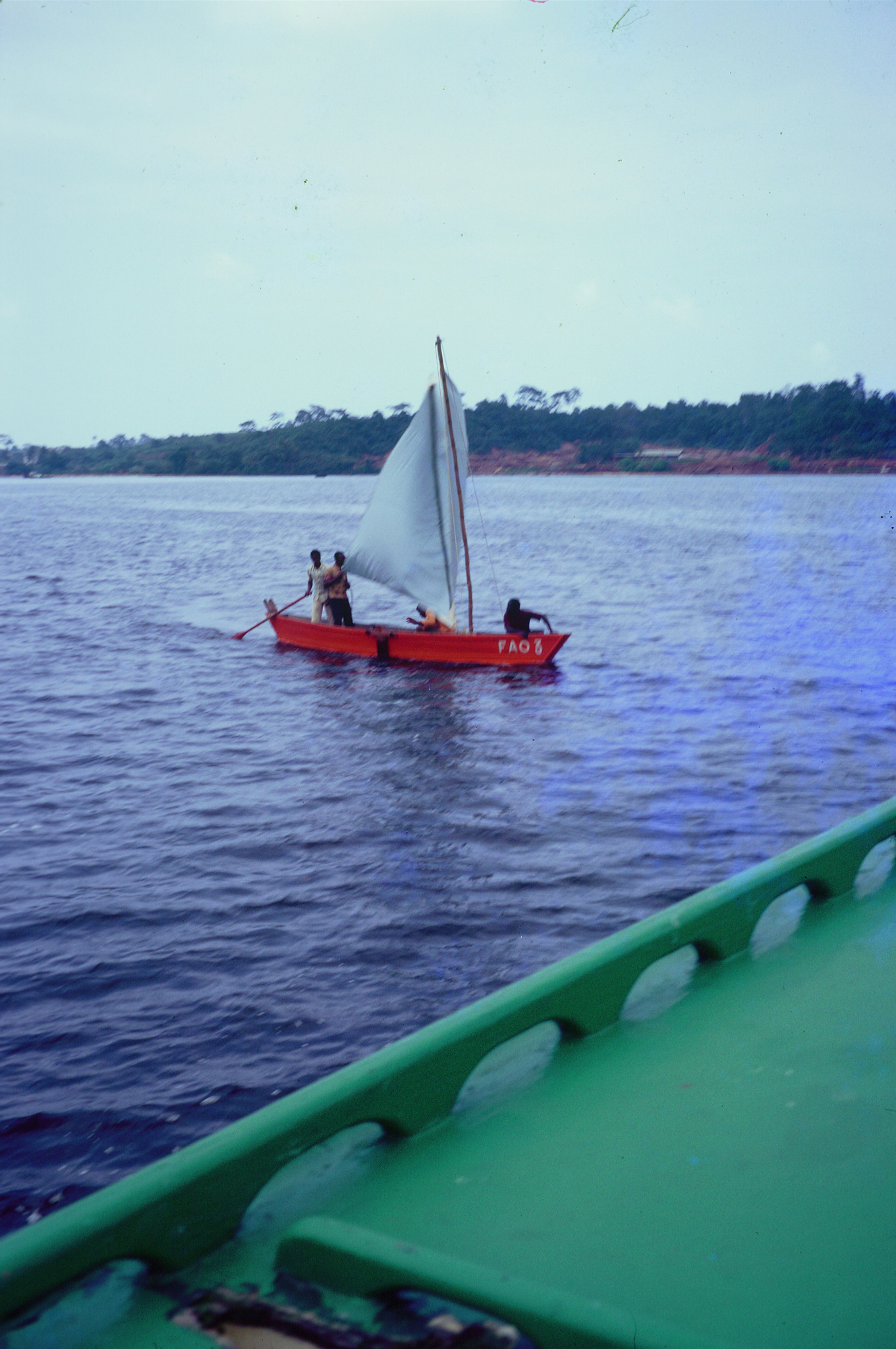 PHOTO LIBRARY: detail