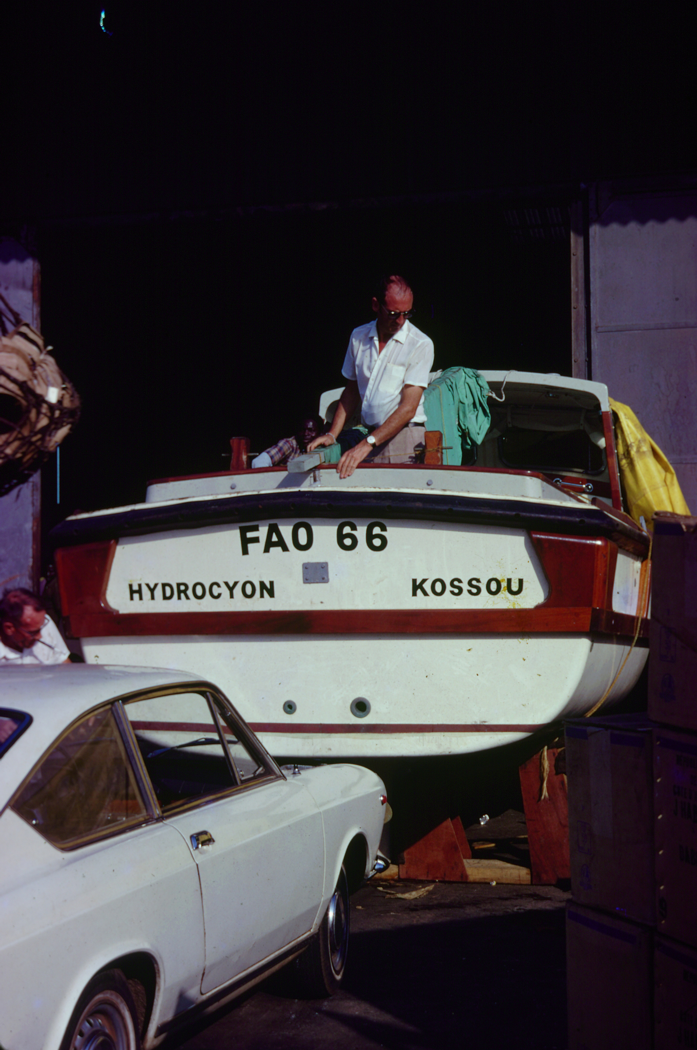 PHOTO LIBRARY: detail