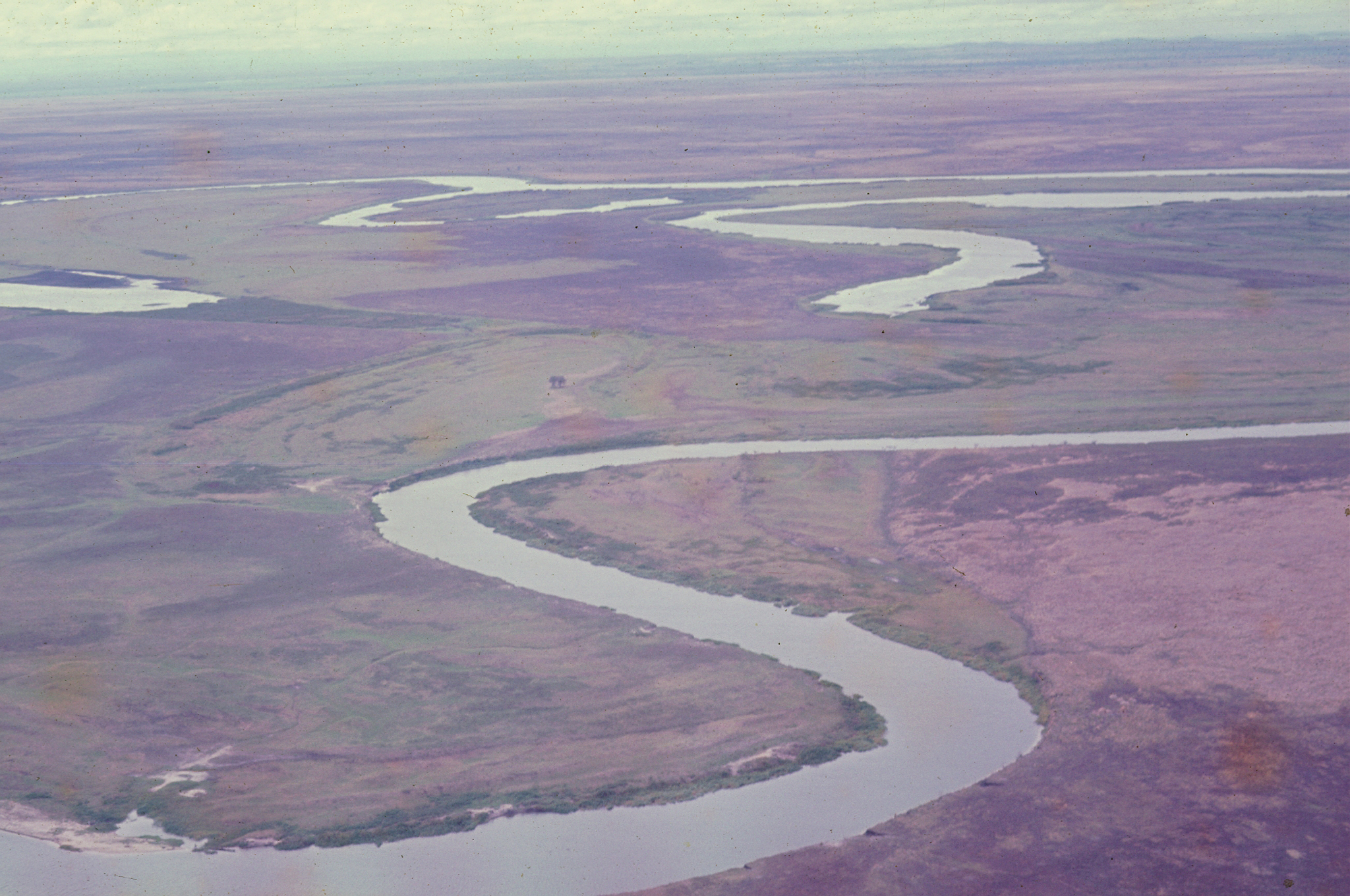 PHOTO LIBRARY: detail
