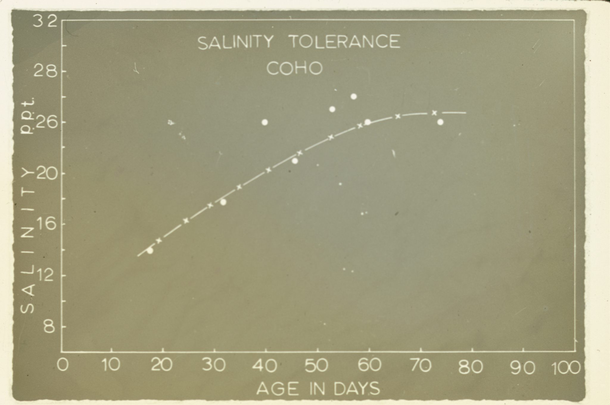 PHOTO LIBRARY: detail