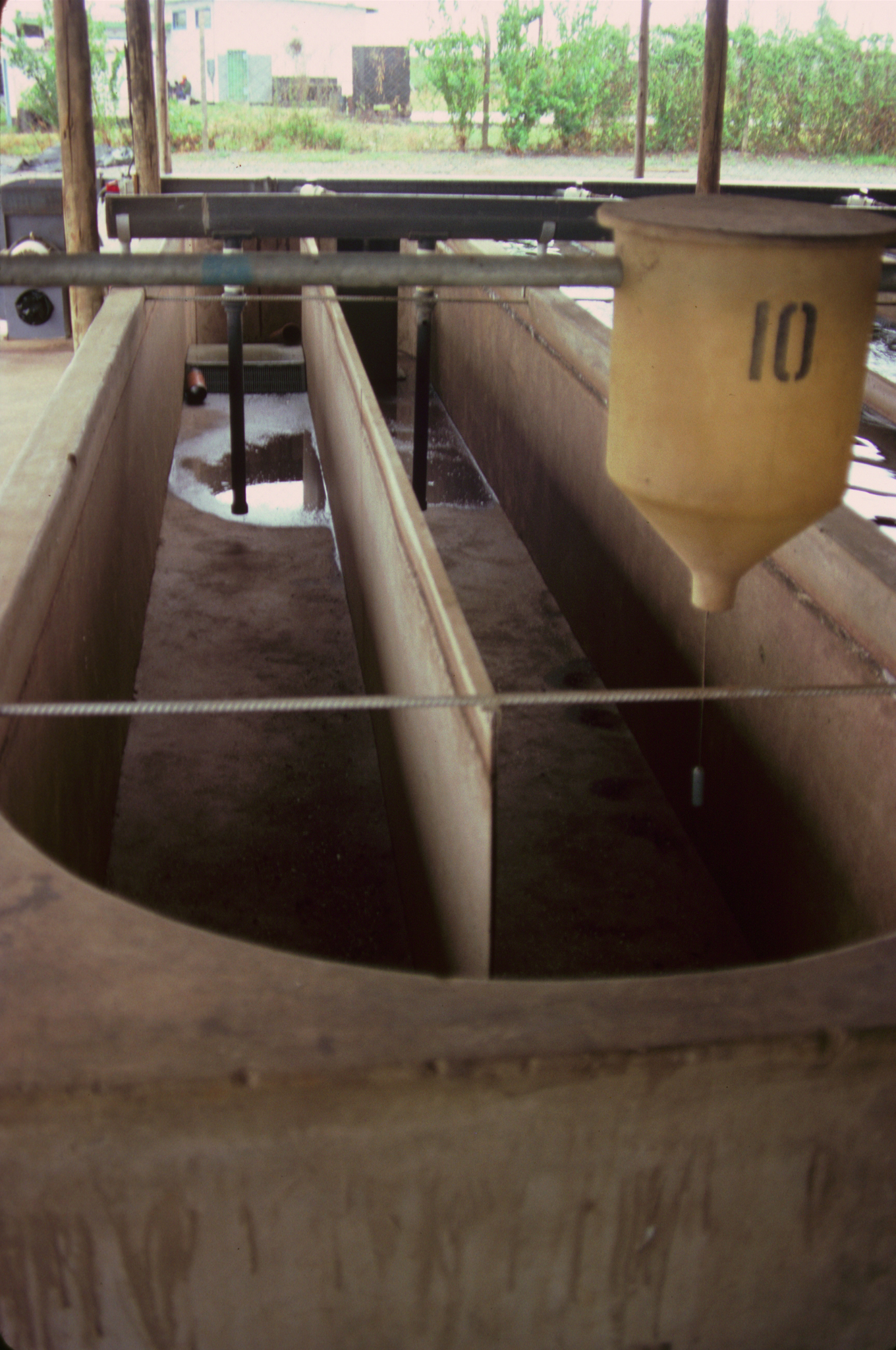 PHOTO LIBRARY: detail