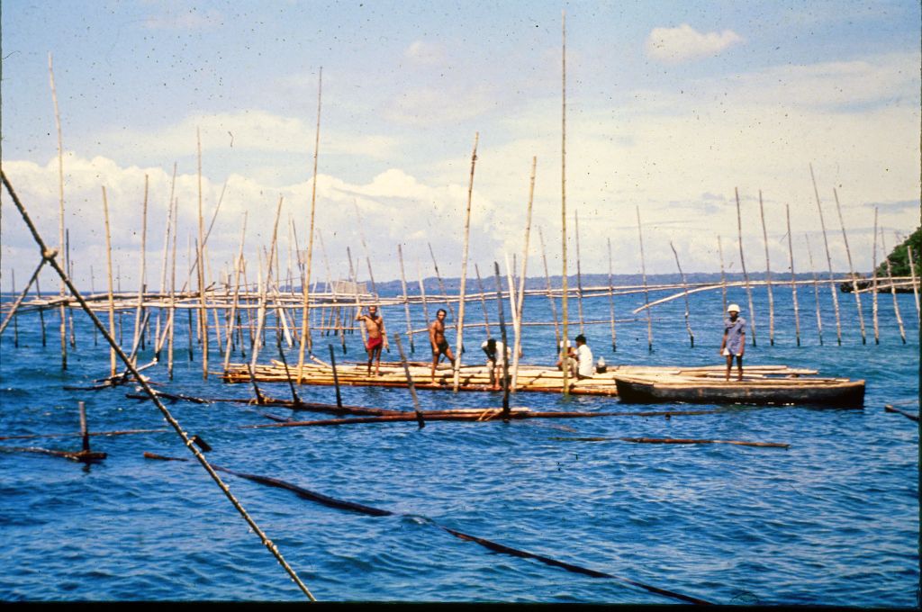 PHOTO LIBRARY: detail