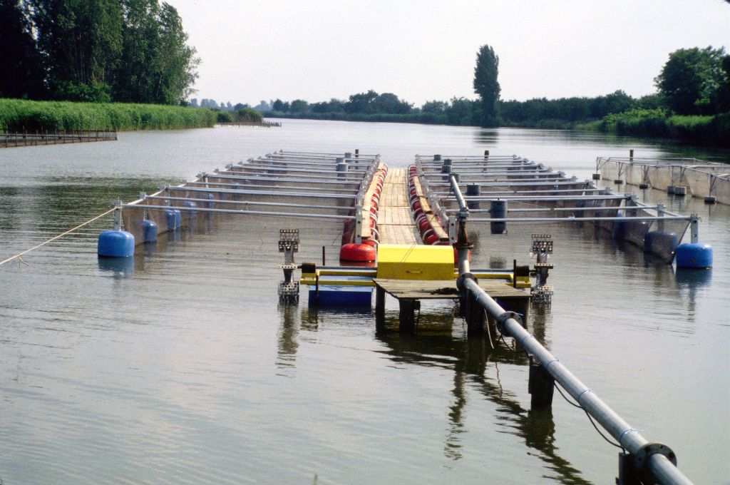 PHOTO LIBRARY: detail