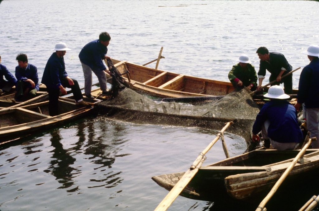 PHOTO LIBRARY: detail