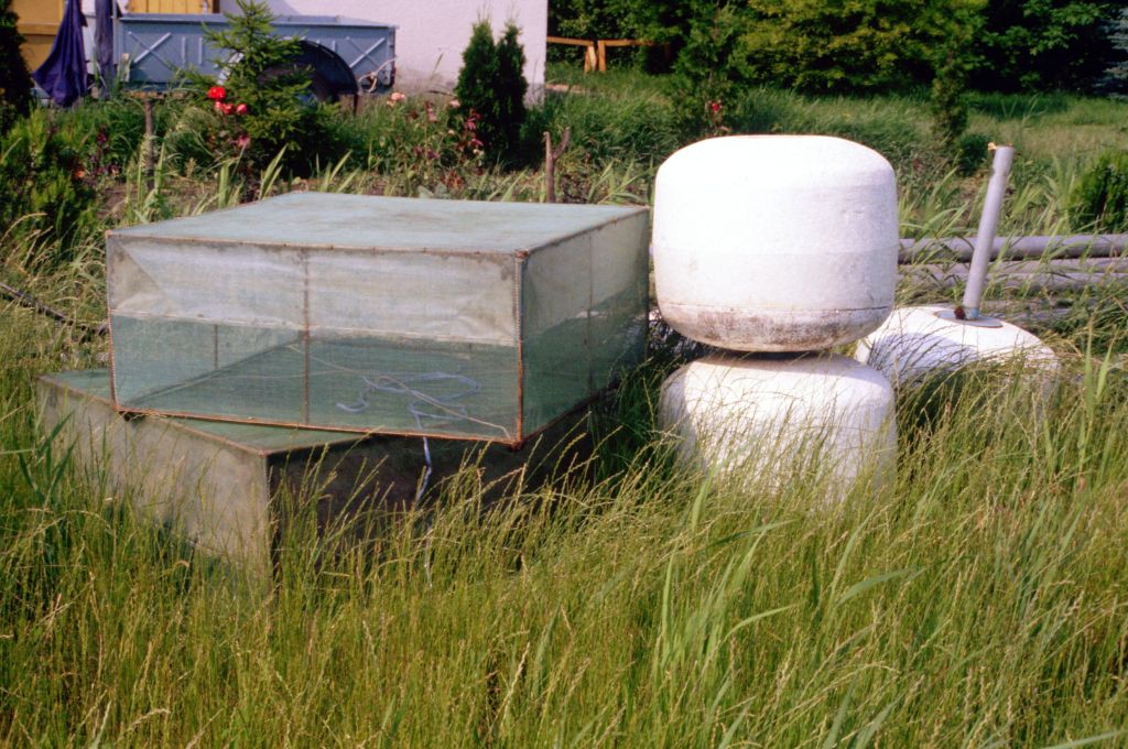 PHOTO LIBRARY: detail