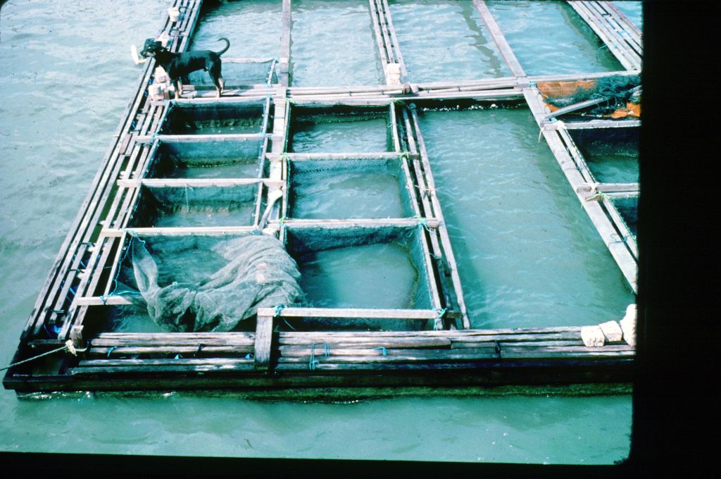 PHOTO LIBRARY: detail