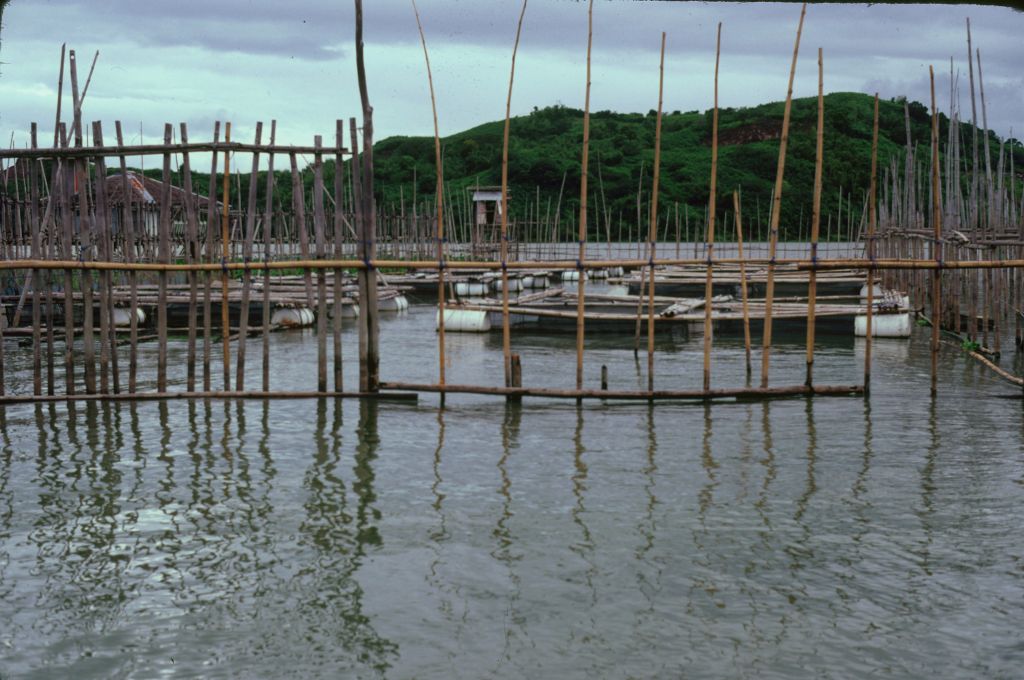 PHOTO LIBRARY: detail