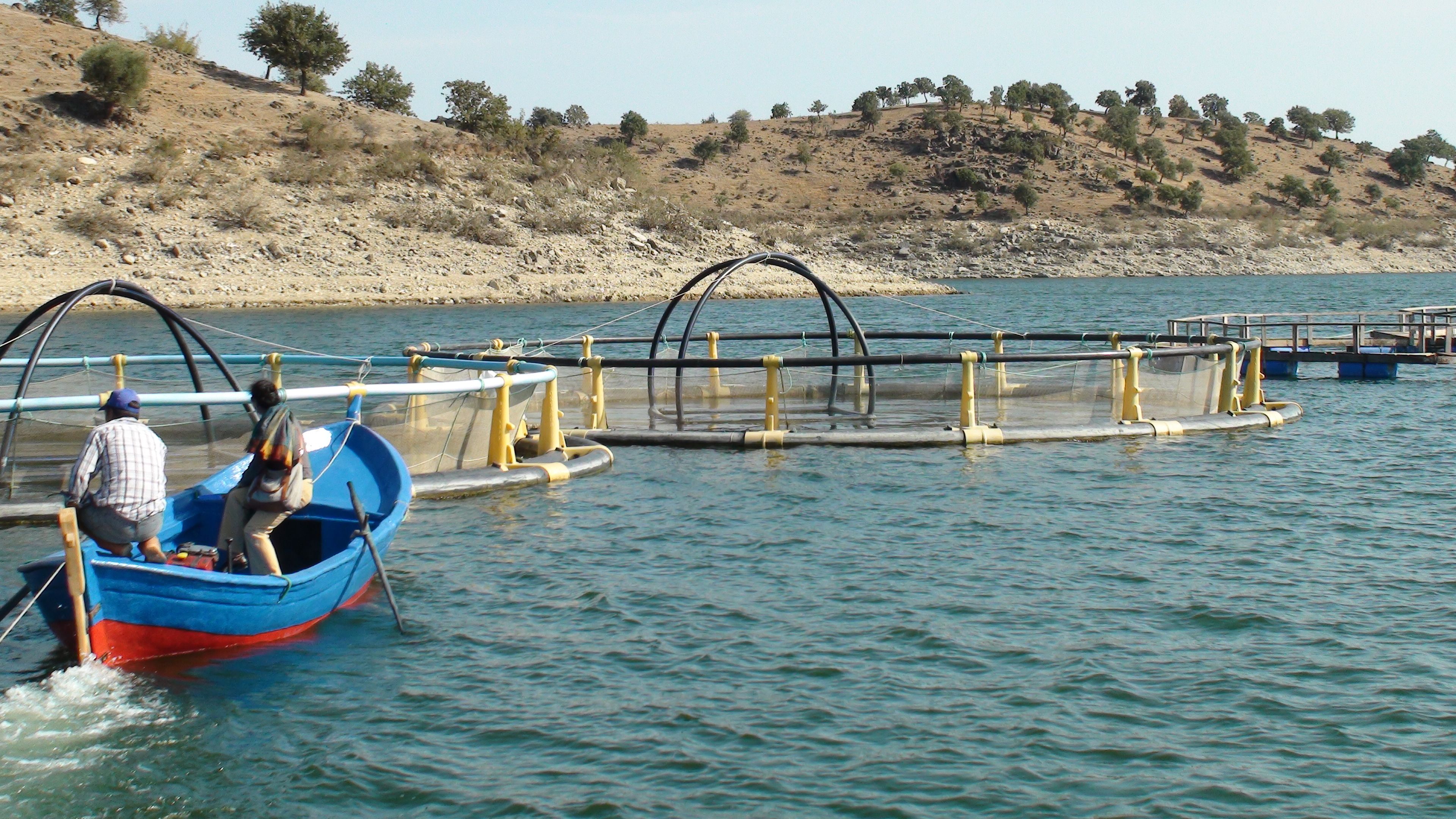 PHOTO LIBRARY: detail