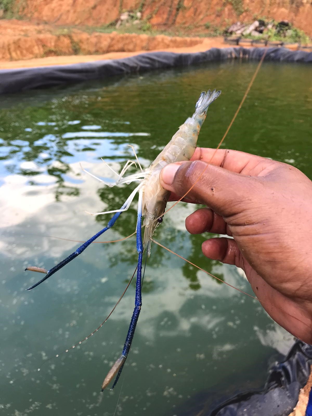 PHOTO LIBRARY: detail