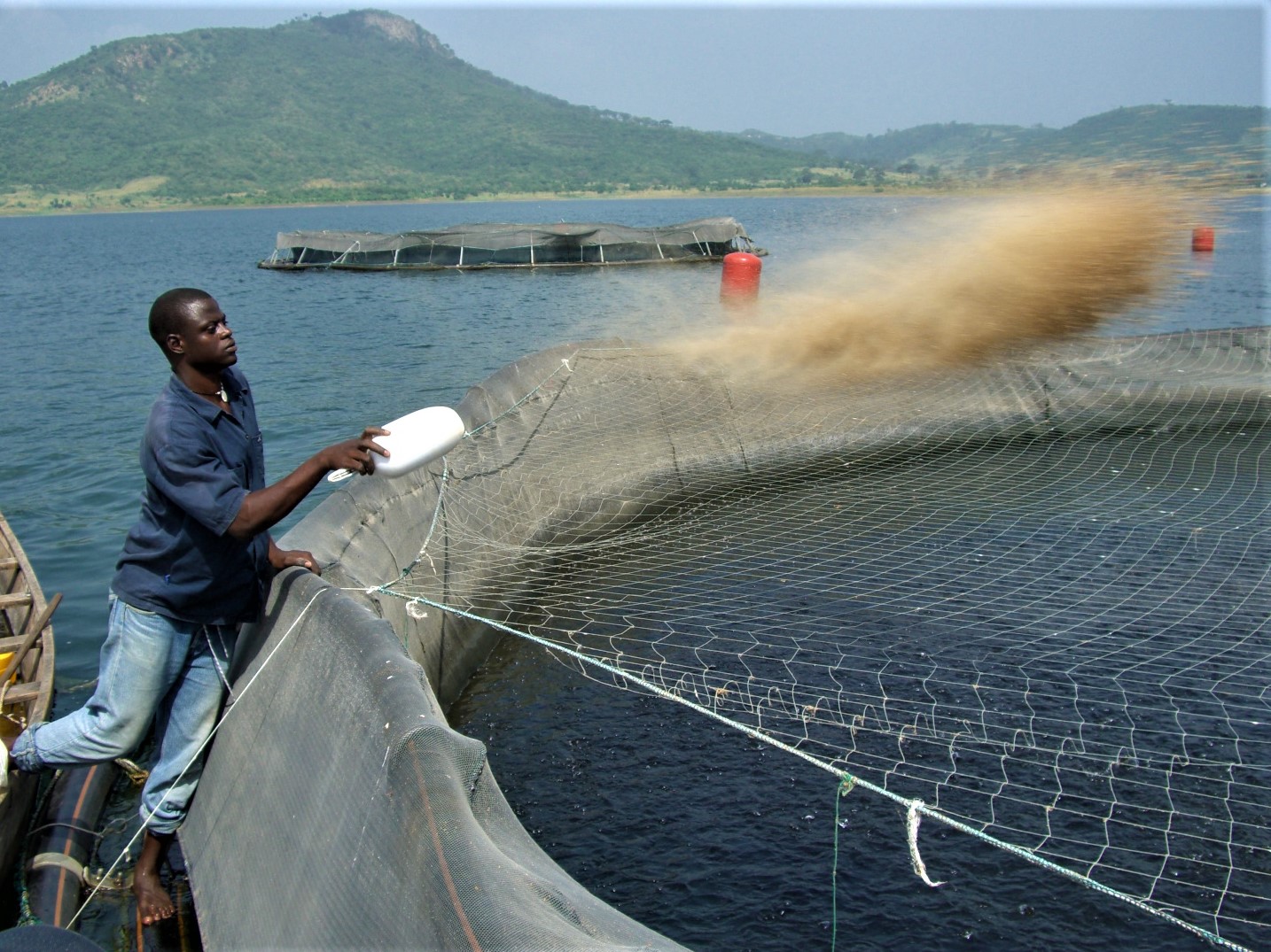 PHOTO LIBRARY: detail