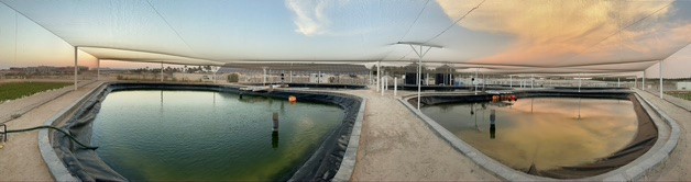 PHOTO LIBRARY: detail