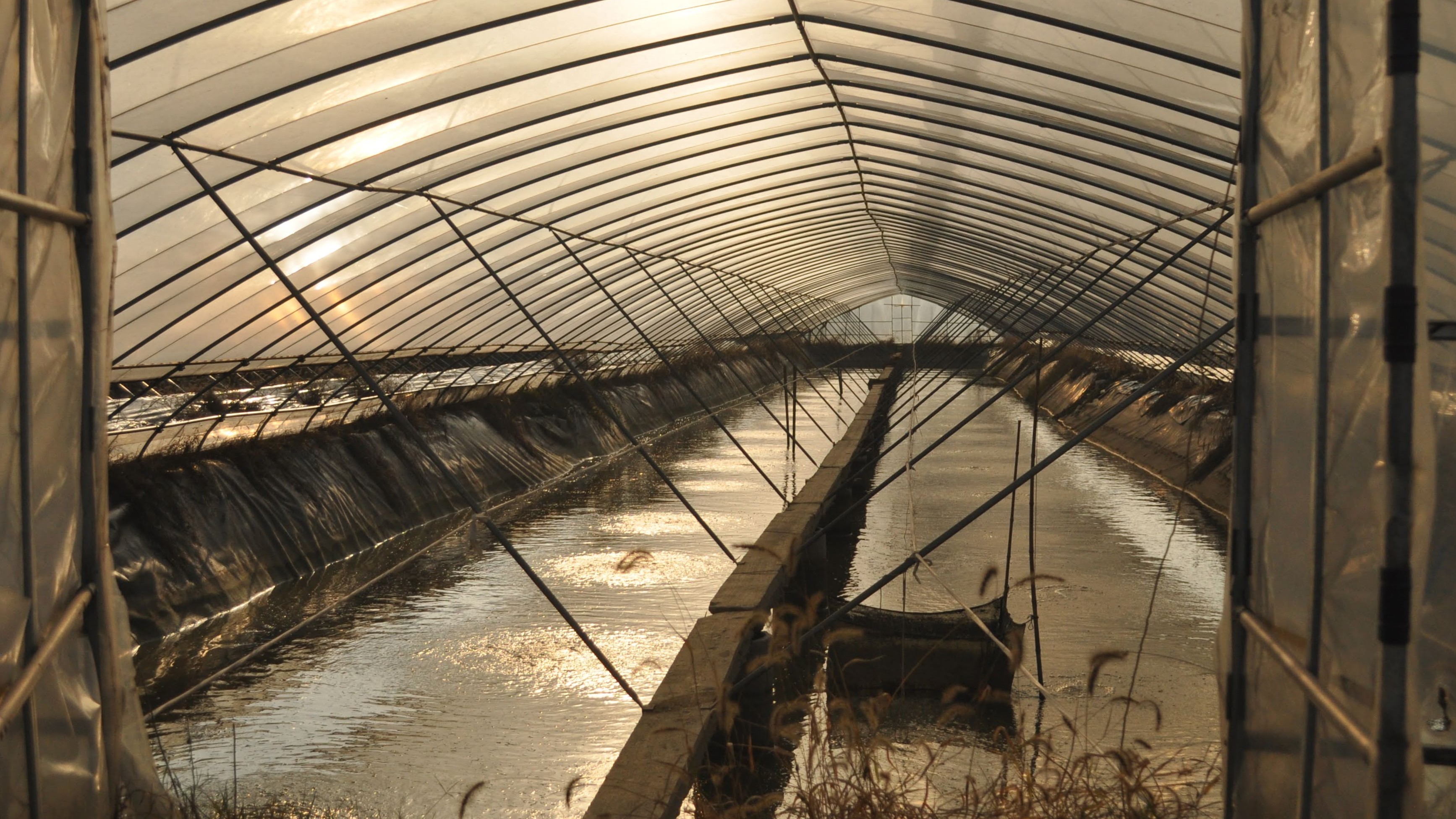 PHOTO LIBRARY: detail