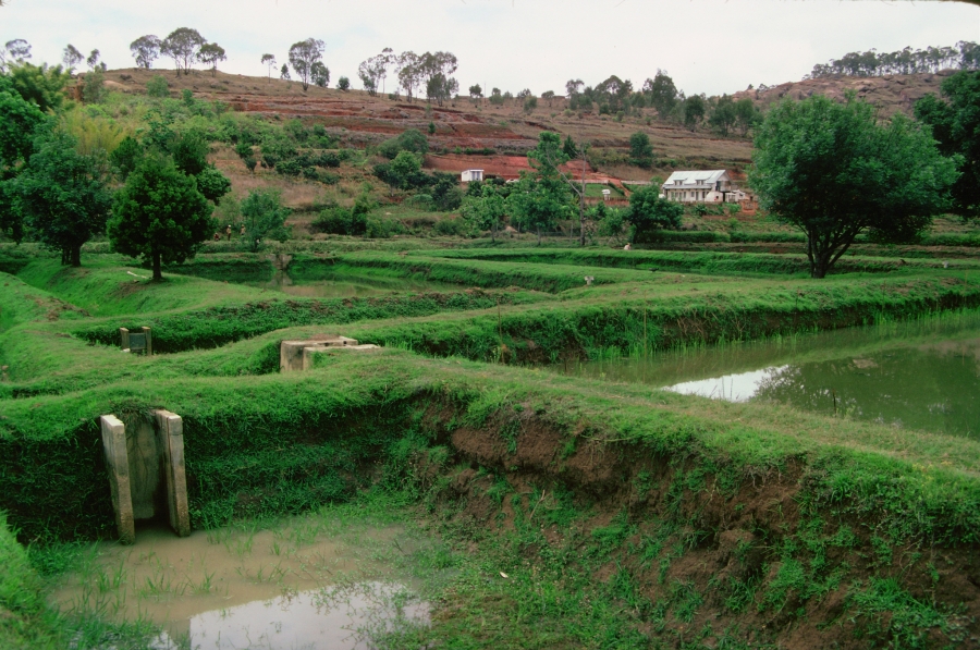 PHOTO LIBRARY: detail