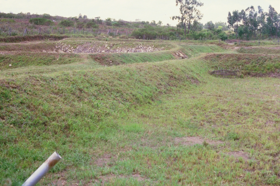 PHOTO LIBRARY: detail