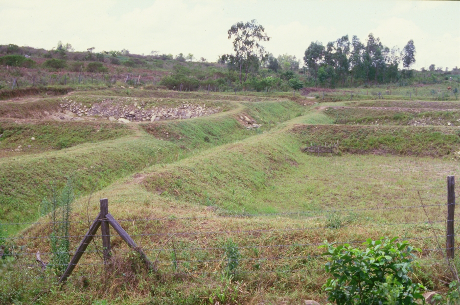 PHOTO LIBRARY: detail