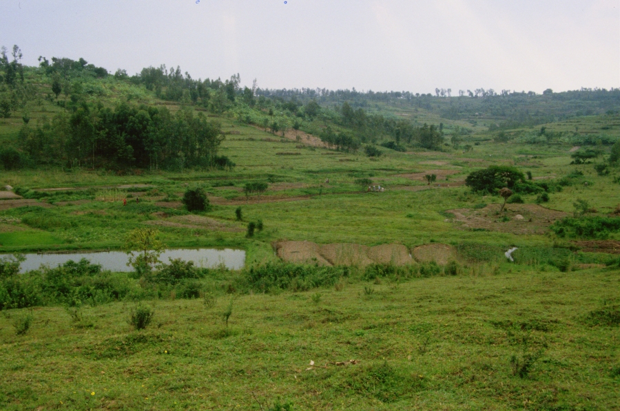 PHOTO LIBRARY: detail