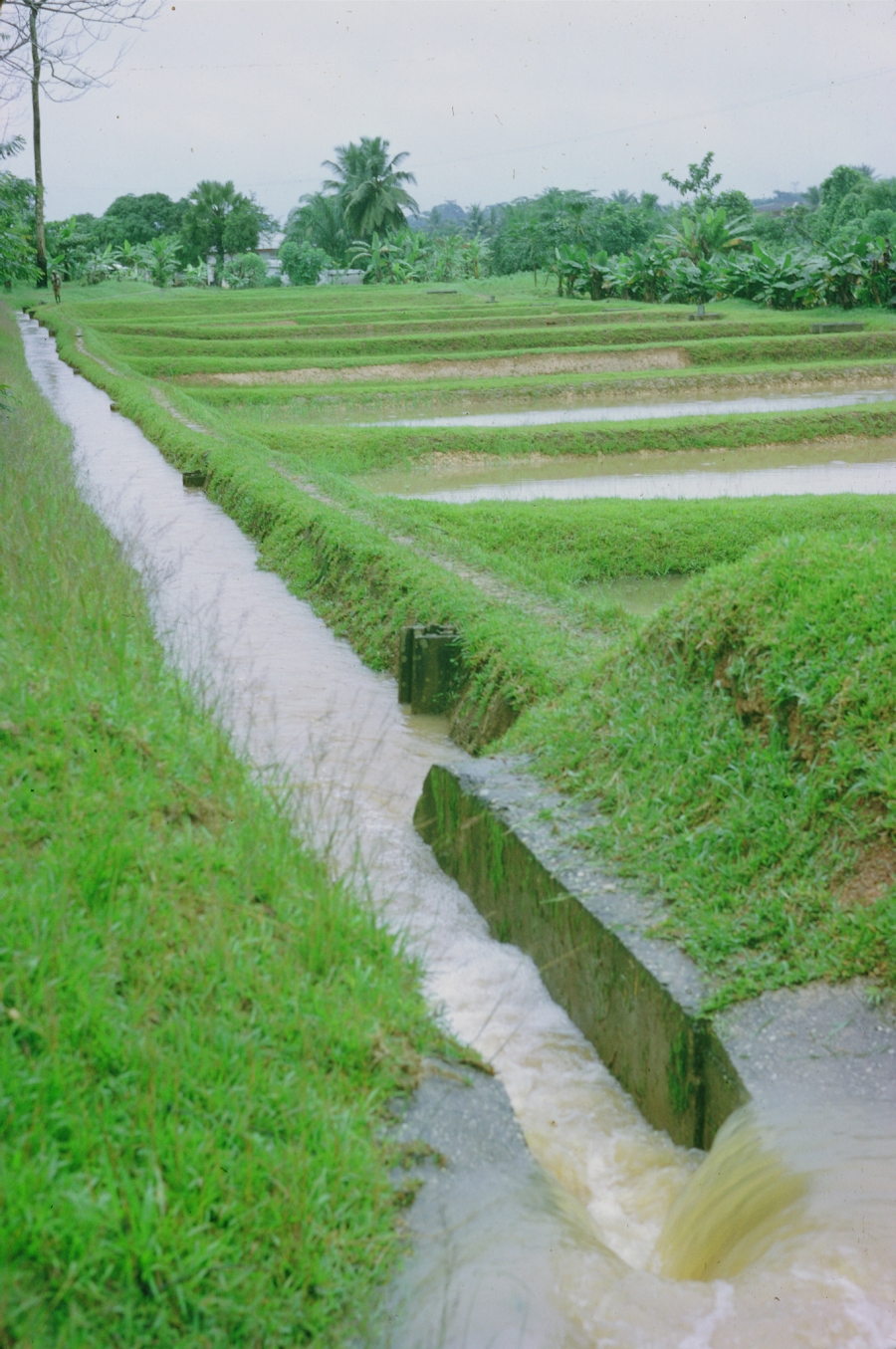 PHOTO LIBRARY: detail