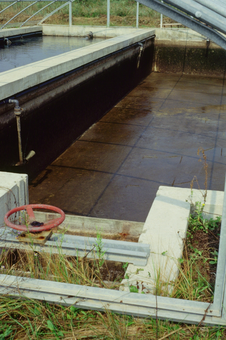 PHOTO LIBRARY: detail