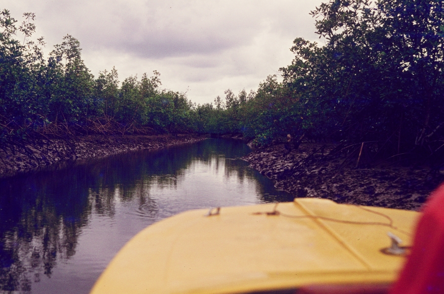 PHOTO LIBRARY: detail