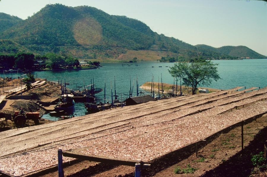 PHOTO LIBRARY: detail