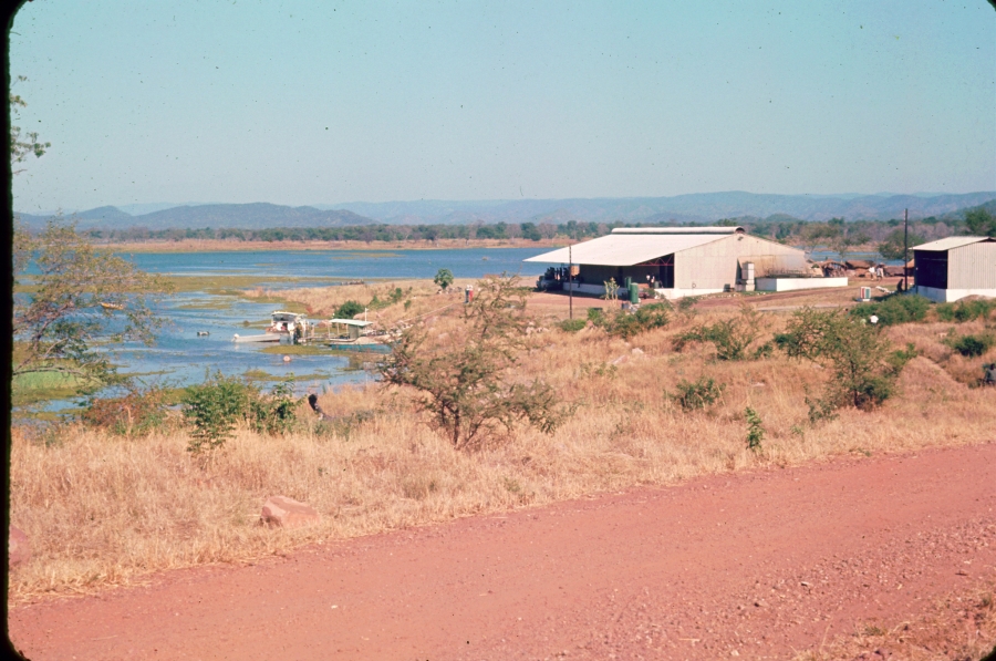 PHOTO LIBRARY: detail