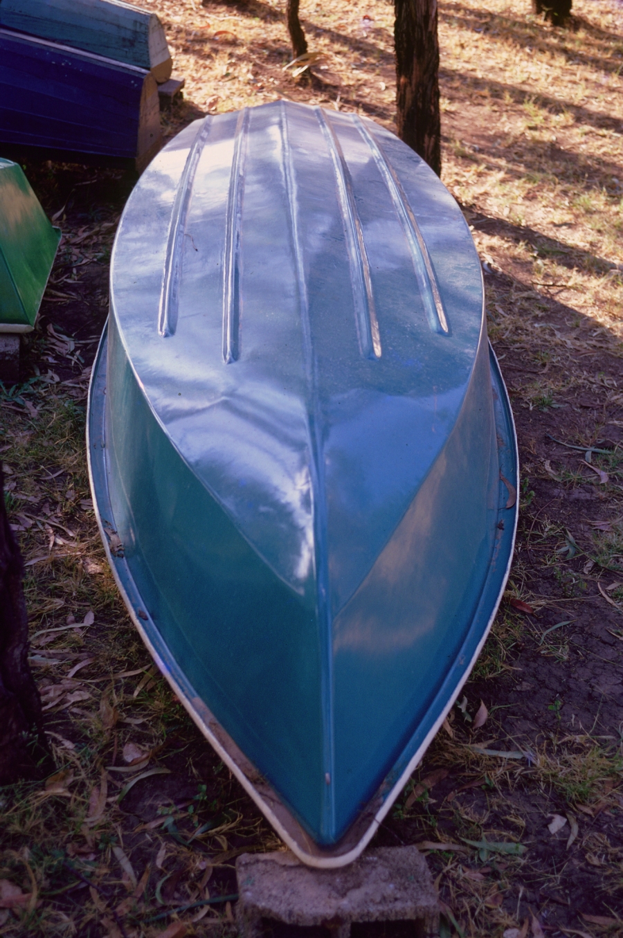 PHOTO LIBRARY: detail