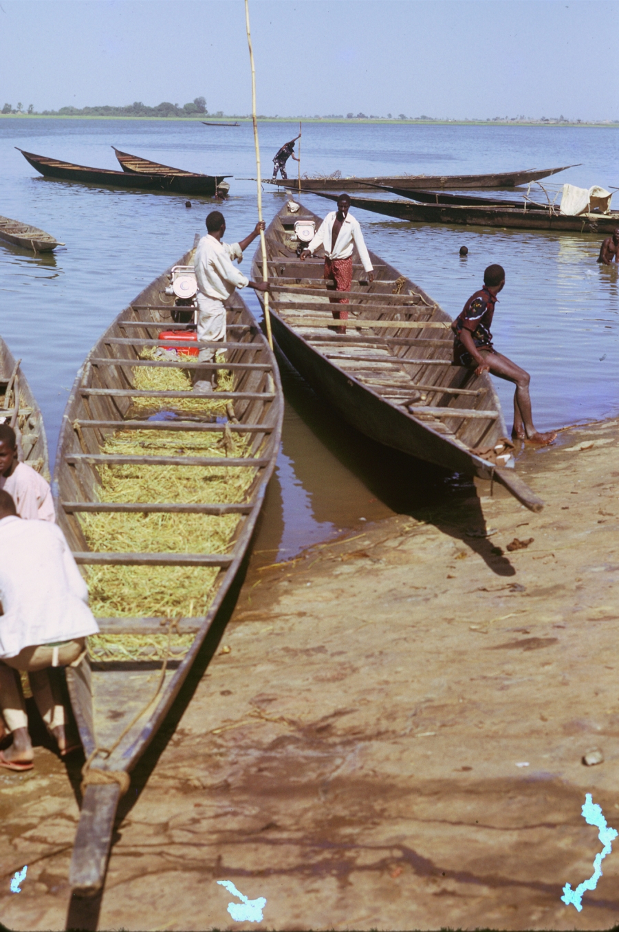 PHOTO LIBRARY: detail