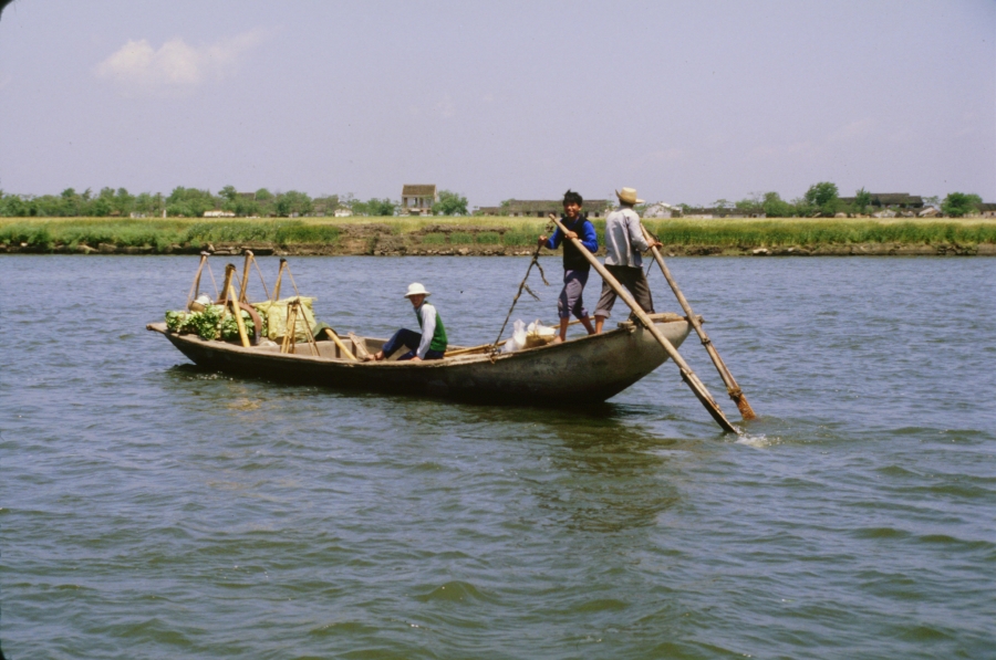 PHOTO LIBRARY: detail