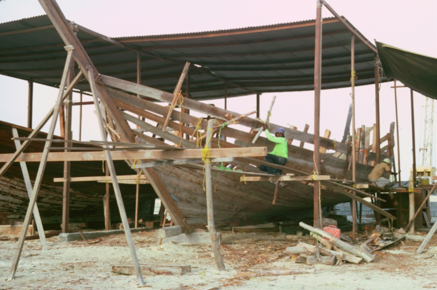 PHOTO LIBRARY: detail