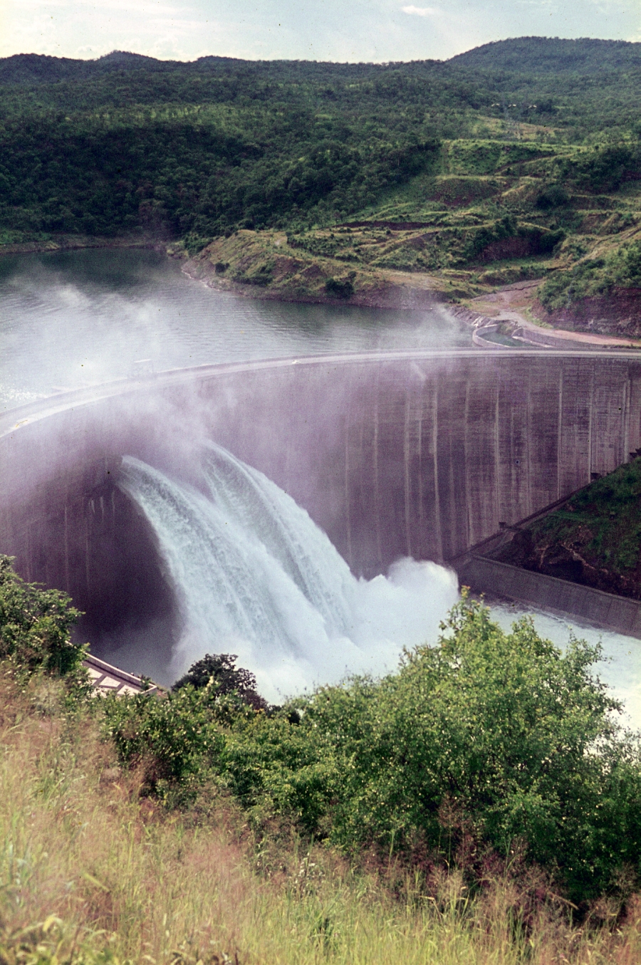 PHOTO LIBRARY: detail