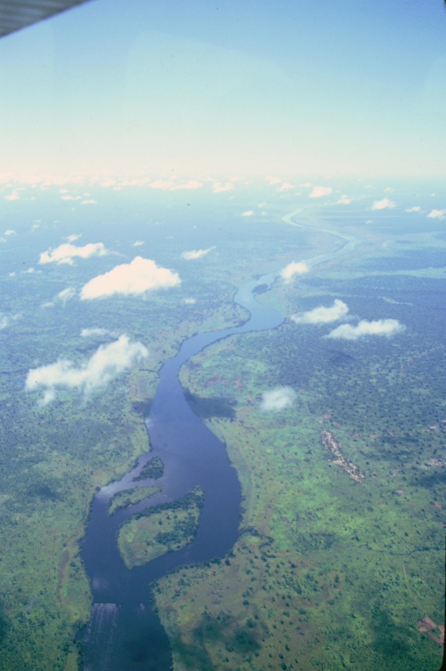 PHOTO LIBRARY: detail