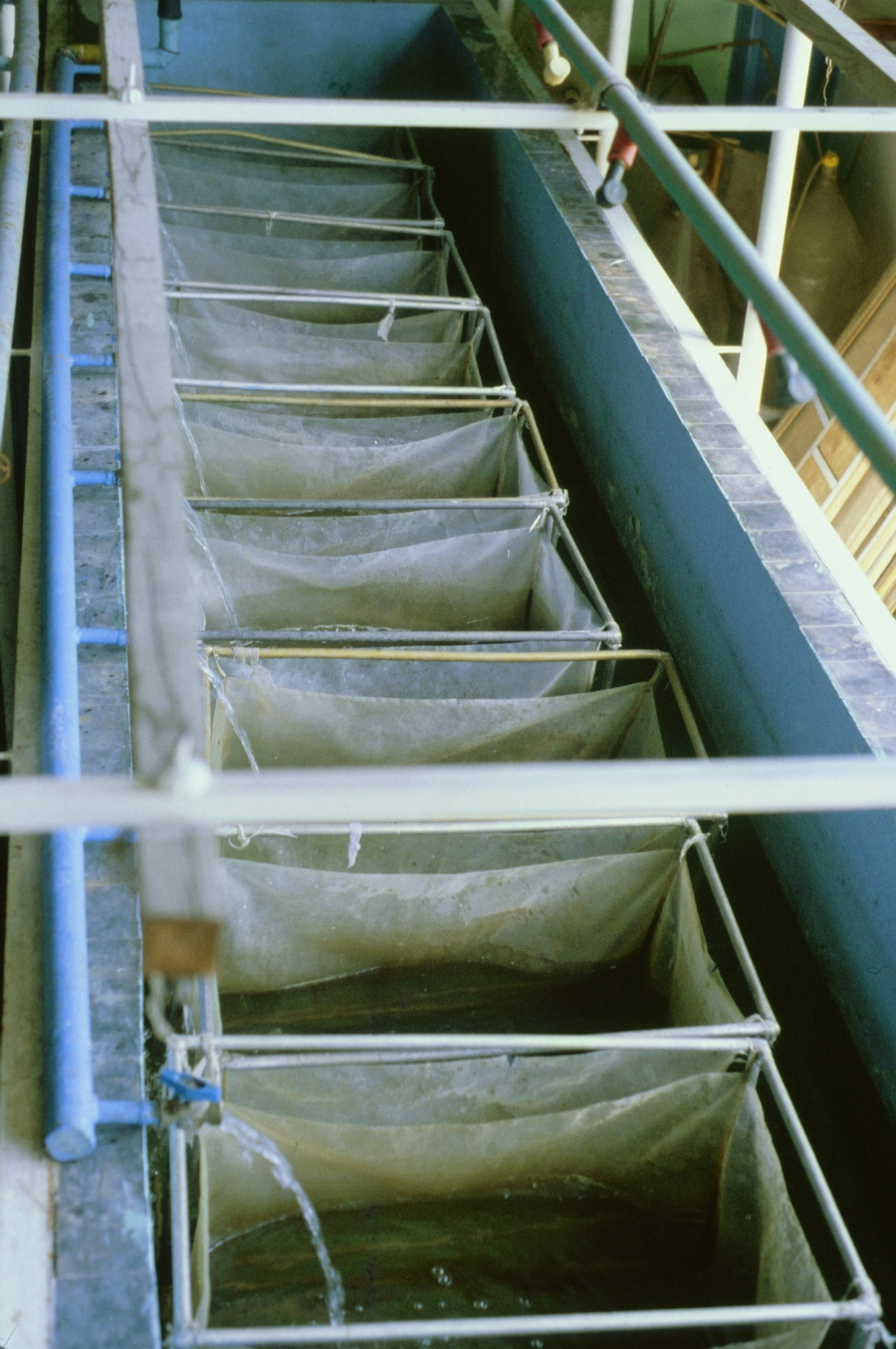 PHOTO LIBRARY: detail