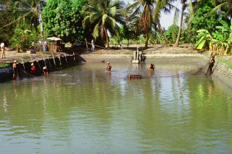 PHOTO LIBRARY: detail