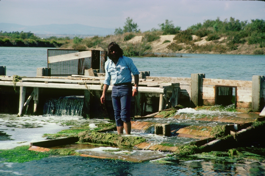 PHOTO LIBRARY: detail