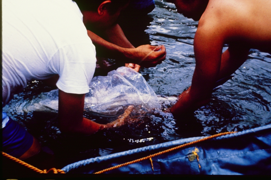 PHOTO LIBRARY: detail