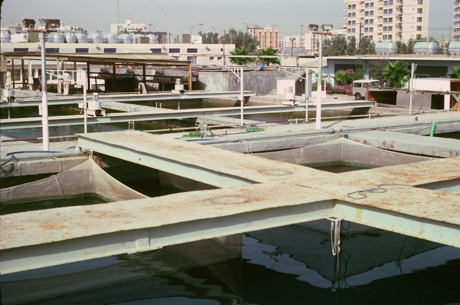 PHOTO LIBRARY: detail