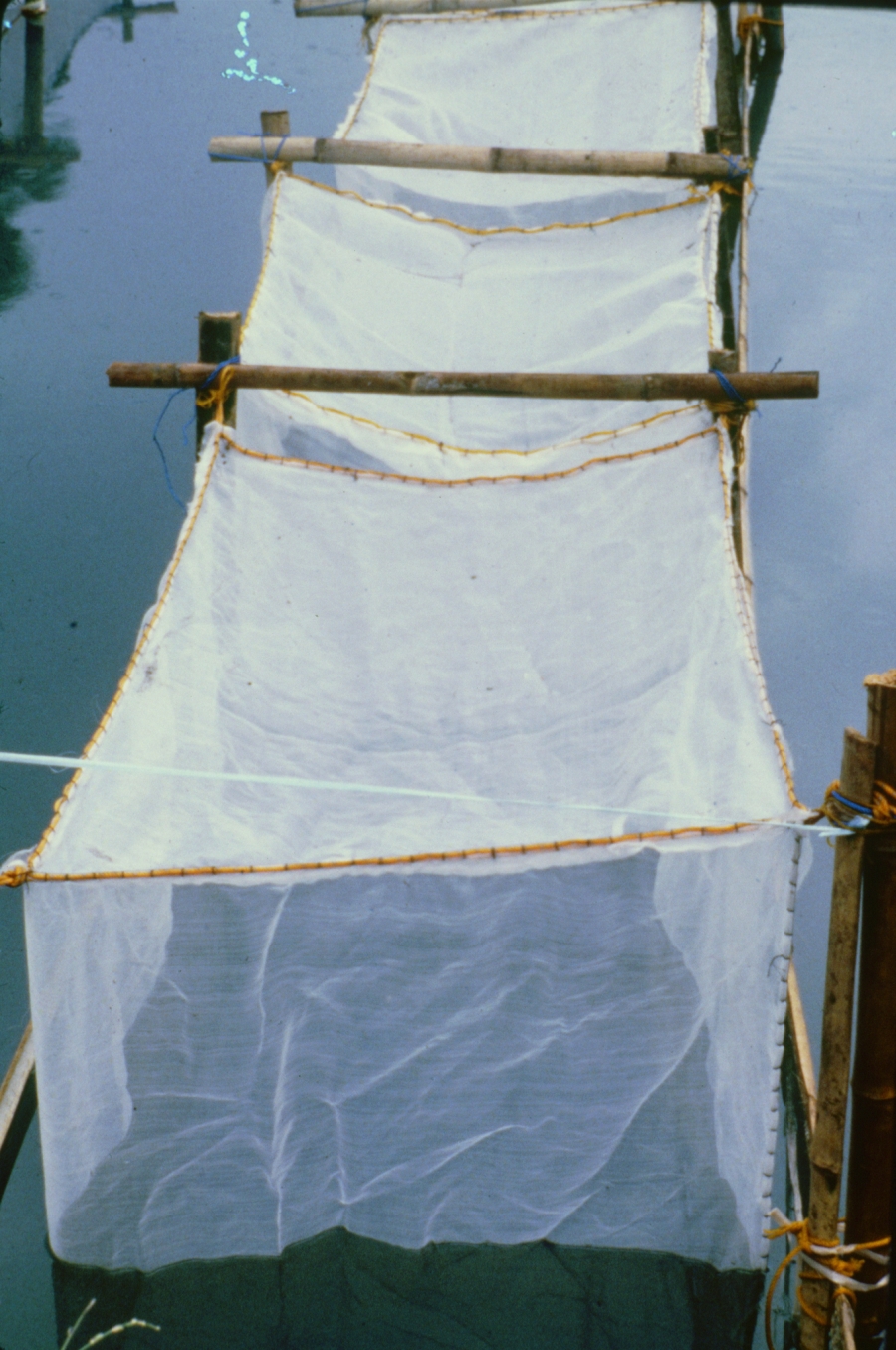 PHOTO LIBRARY: detail