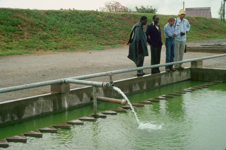 PHOTO LIBRARY: detail