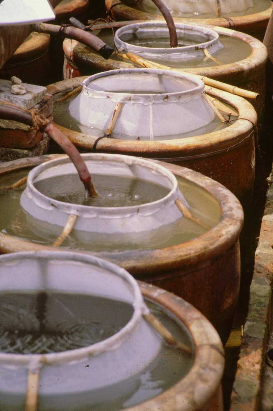 PHOTO LIBRARY: detail