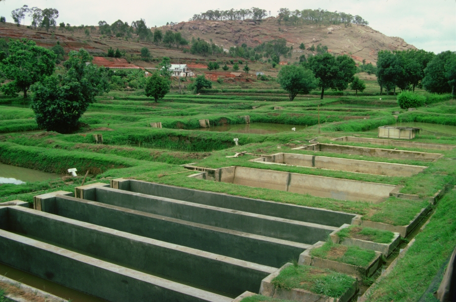 PHOTO LIBRARY: detail