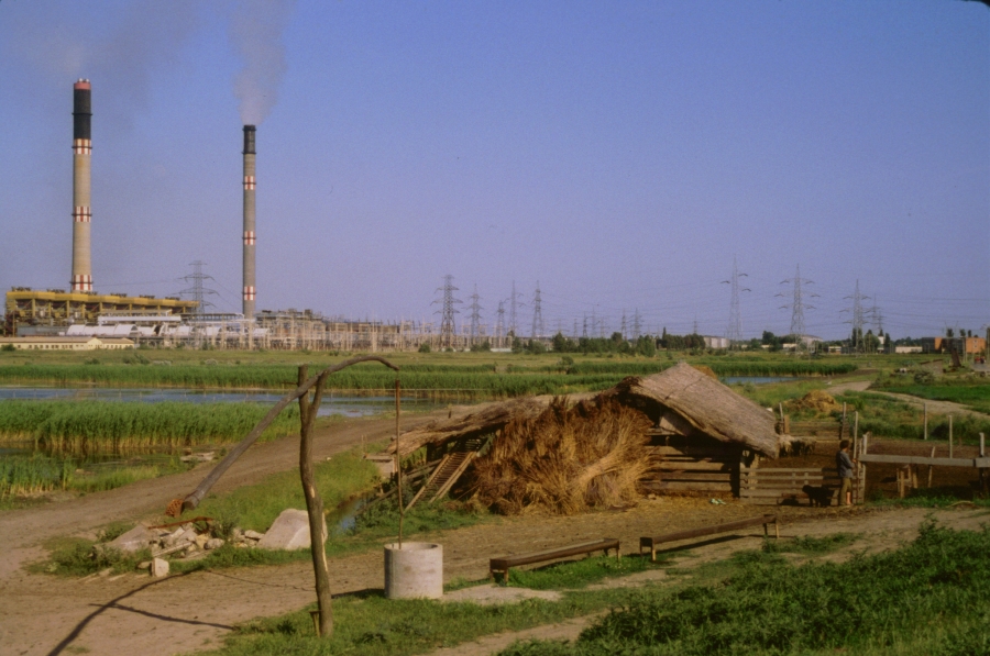 PHOTO LIBRARY: detail