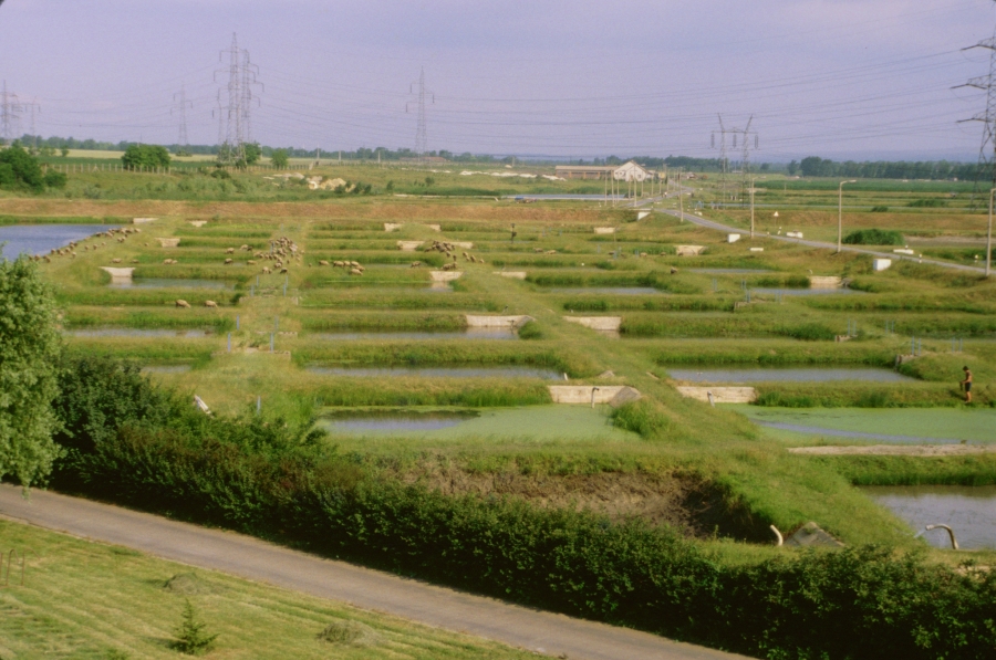 PHOTO LIBRARY: detail