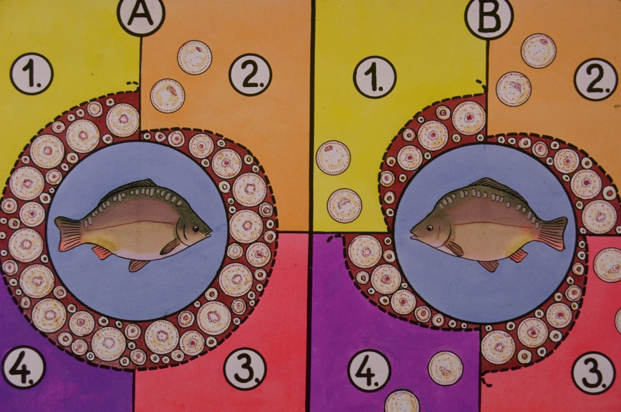 PHOTO LIBRARY: detail