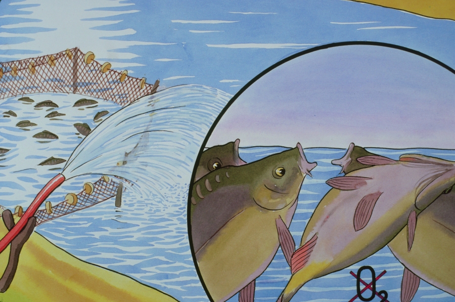 PHOTO LIBRARY: detail