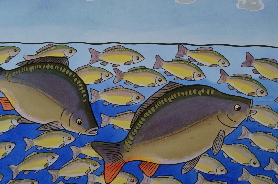 PHOTO LIBRARY: detail