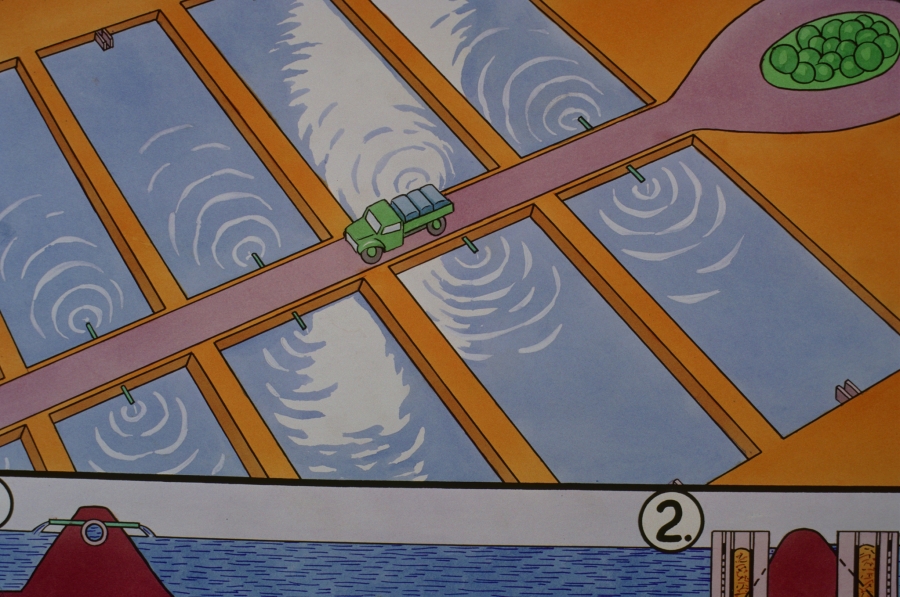 PHOTO LIBRARY: detail