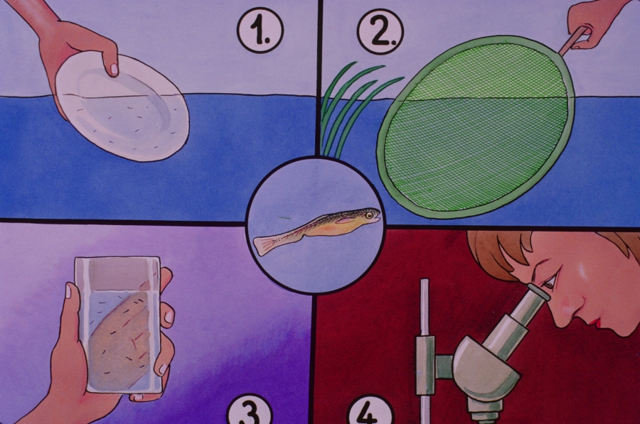 PHOTO LIBRARY: detail