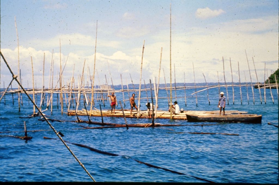 PHOTO LIBRARY: detail